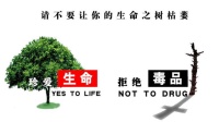 禁毒宣传片 开展禁毒宣传,增强禁毒意识。