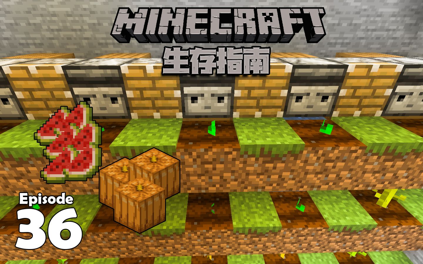 怎样盖全自动南瓜/西瓜农场 - 我的世界生存指南EP36