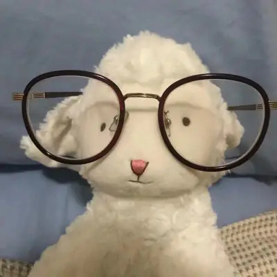 搬砖的老羊 