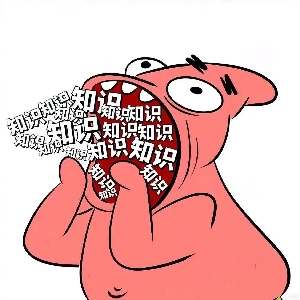 分享编程的小彤同学 