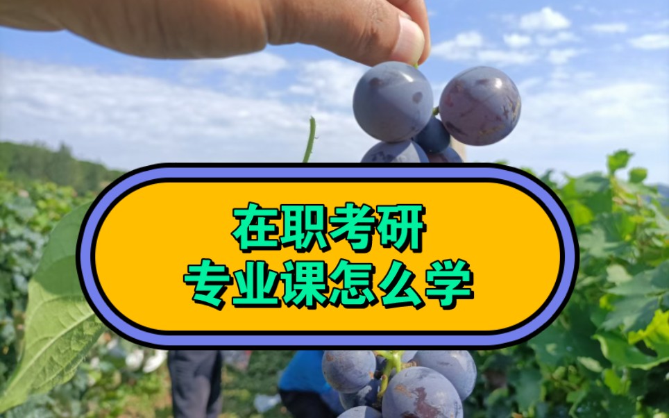 在职同学农硕(农业管理/农村发展)专业课怎么学