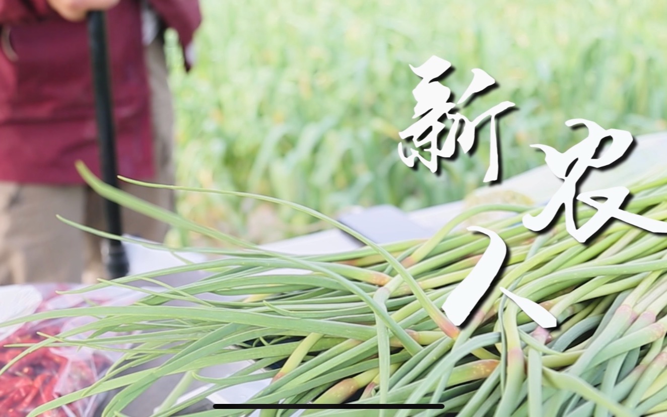 广电毕业创作|微记录片《新农人》