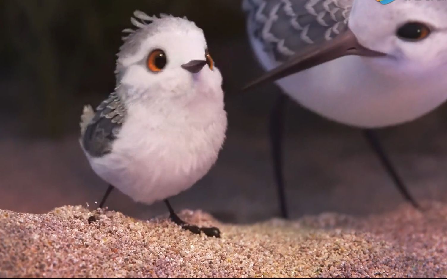 奥斯卡最佳动画短片,非常励志,很有教育意义!