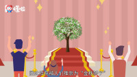 一分钟了解桂花