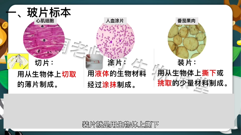 ...玻片标本的基本类型有三个,最后一个尤其重要 #初中生物 #玻片标本 ...
