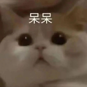 iYmccc 