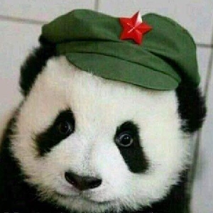 一个熊猫头用4年 