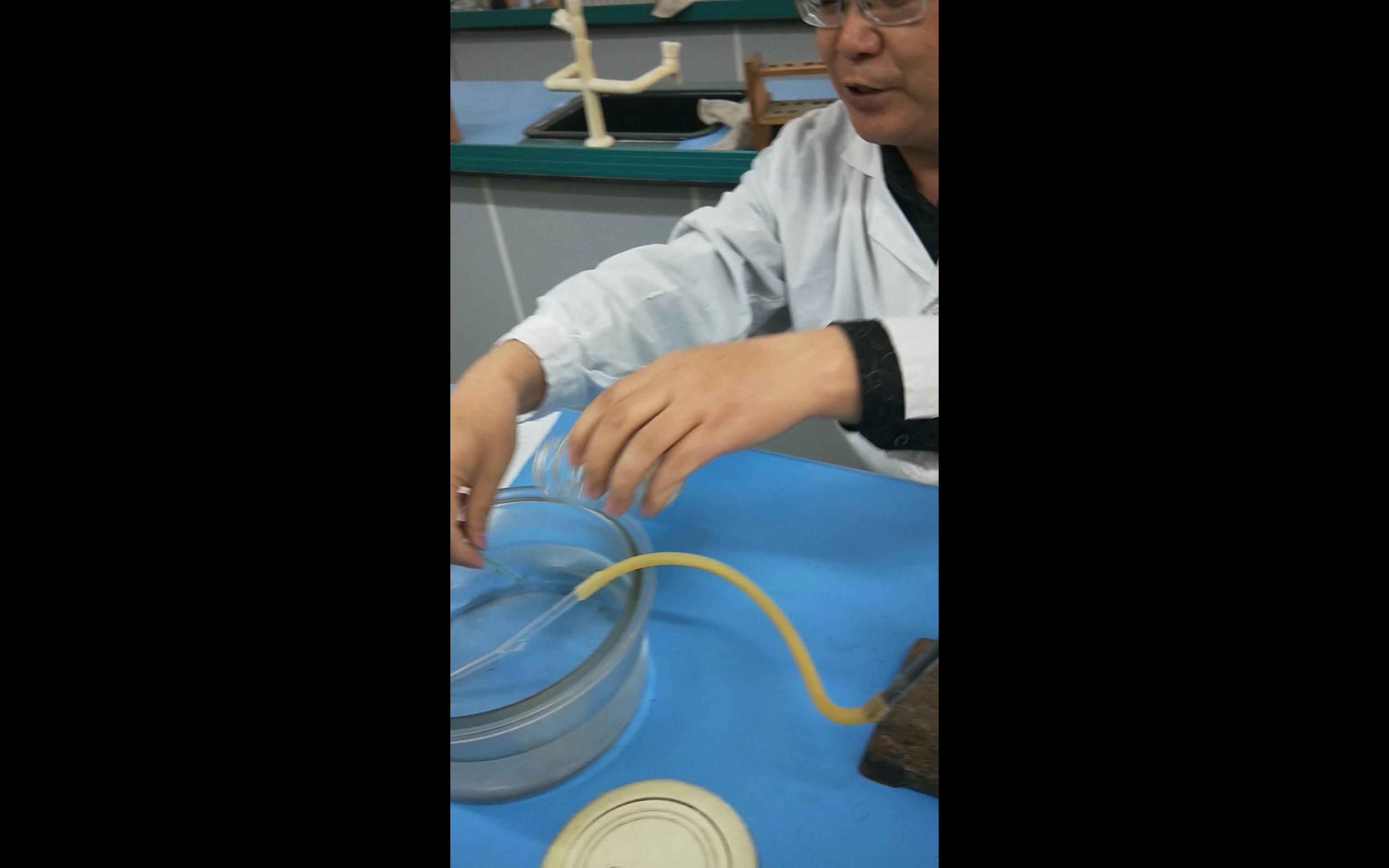 中考化学实验操作示范(2)氧气的实验室制取与性质