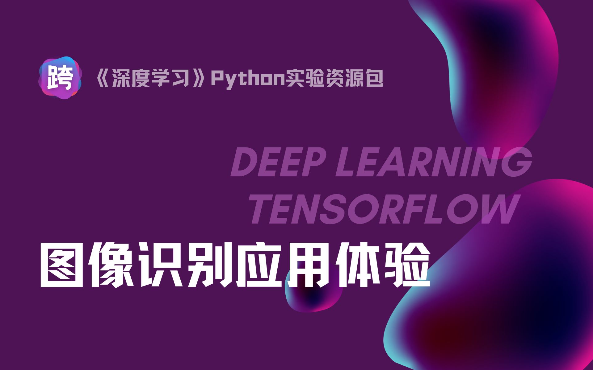 图像识别应用体验 - TensorFlow 2.0 实验资源包