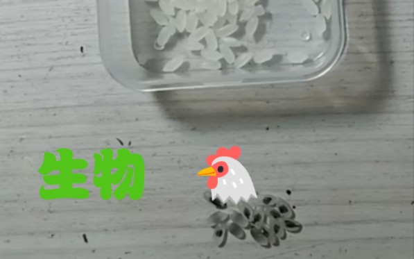 【选修二/生物与环境】标记重捕法测大米数量