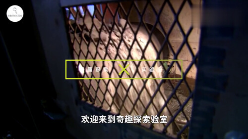 钻石矿内有什么?老外用钻石镐一探究竟,网友:MC玩太多了!