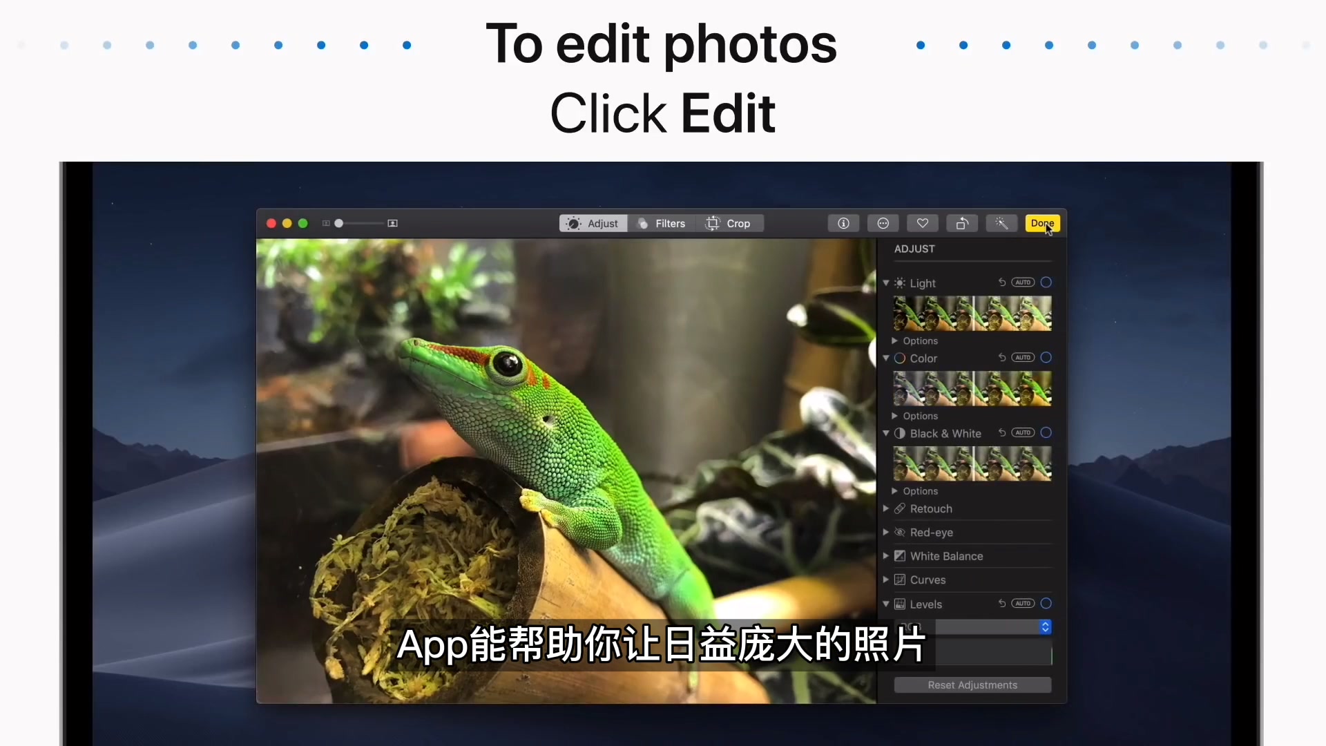 Luke带你玩儿Mac 照片应用让你管理照片得心应手