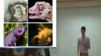 初中生物《两栖动物和爬行动物》广州市真光中学(初中生物优质课...