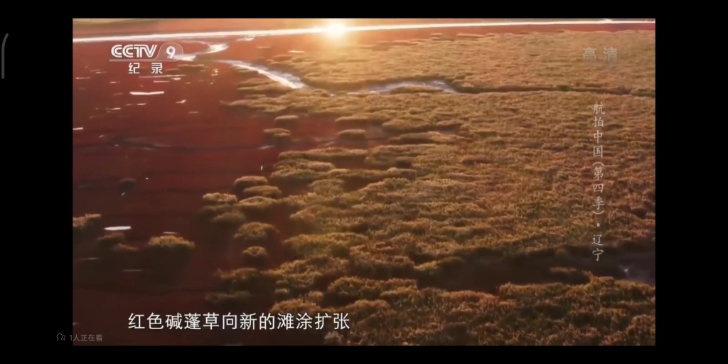 辽河口潮滩植被演替的总体趋势是什么呢?这个视频给你答案