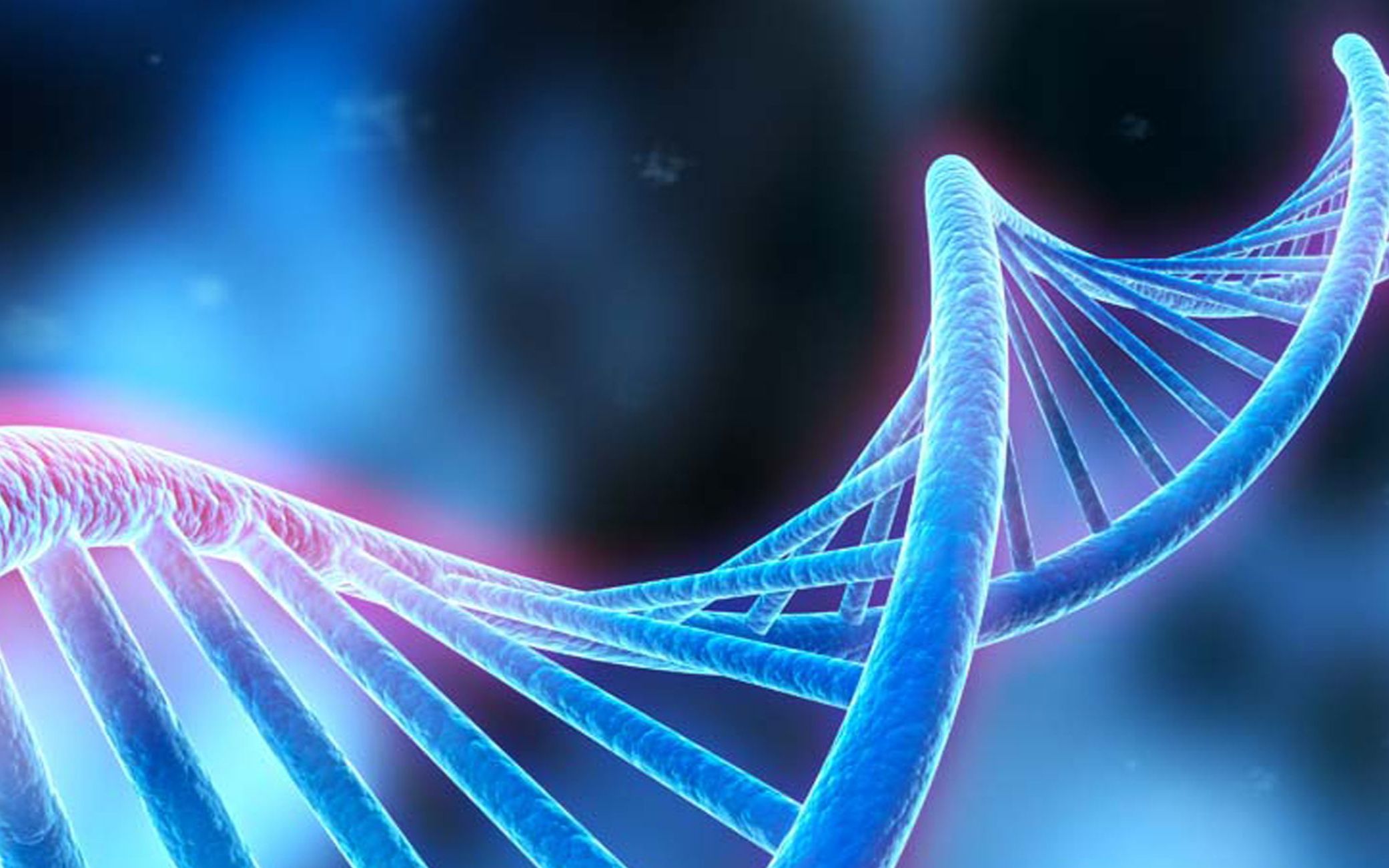 生物信息学中的R语言绘图