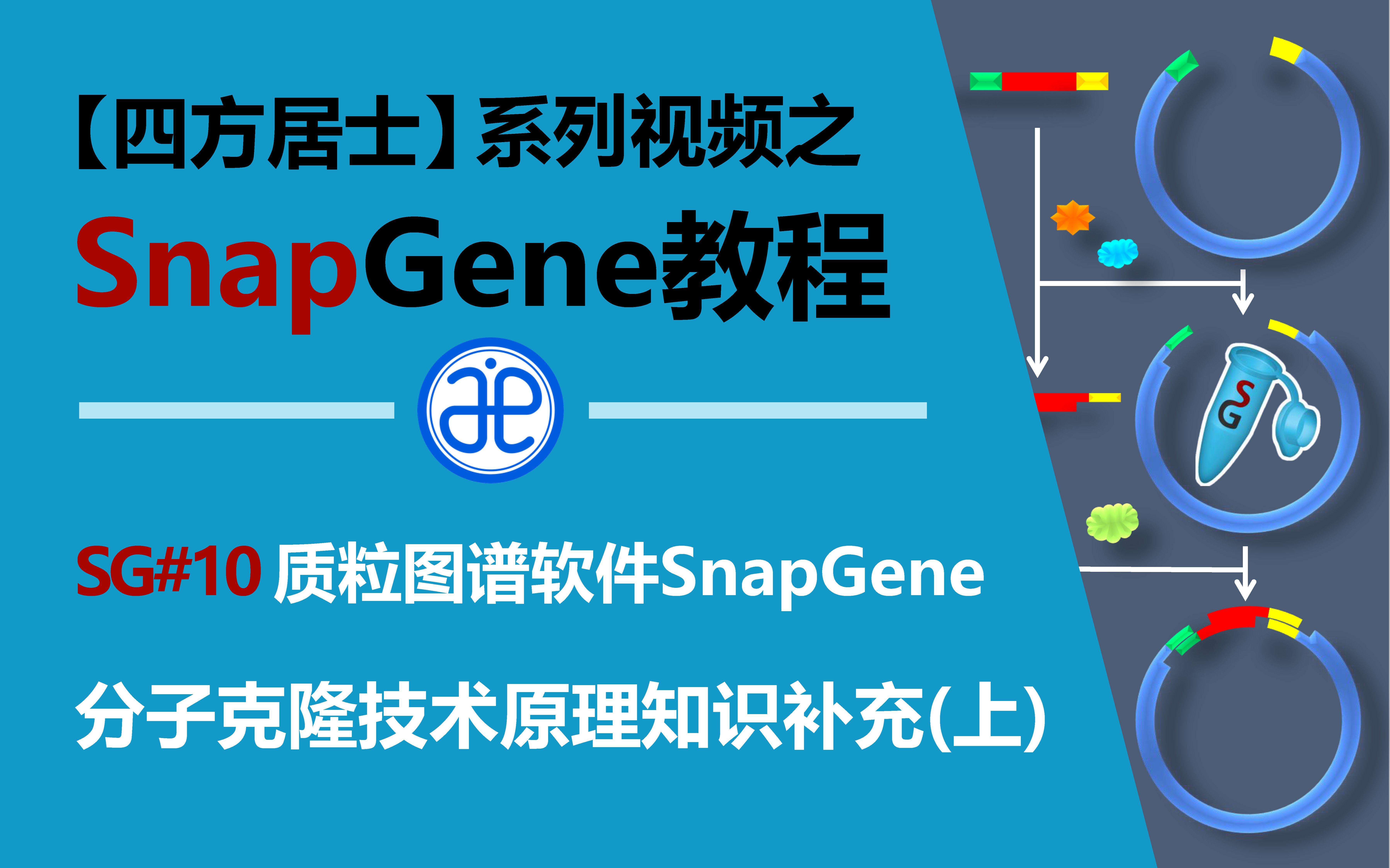 【四方居士】SG#10质粒图谱软件Snapgene分子克隆技术原理知识...