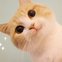 大乐游戏解说