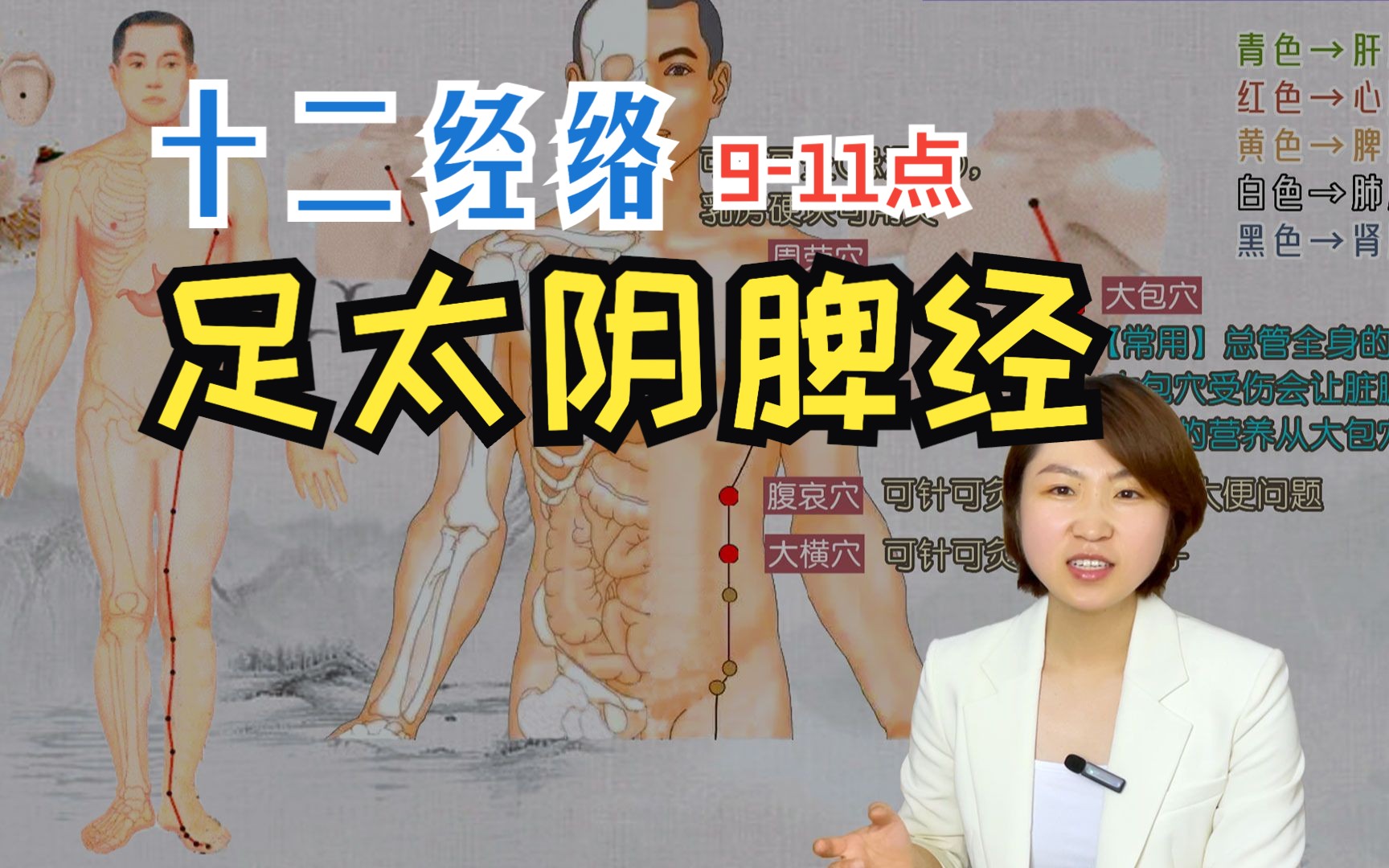 【行明学中医14】足太阴脾经