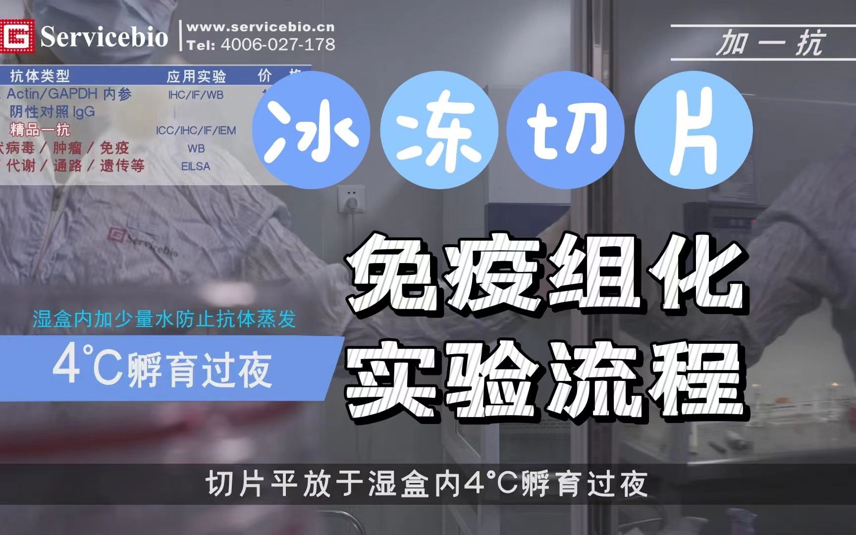 【冰冻切片】免疫组化IHC实验流程