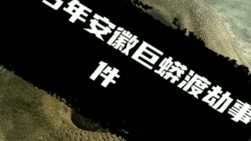 1995年安徽巨蟒渡劫事件