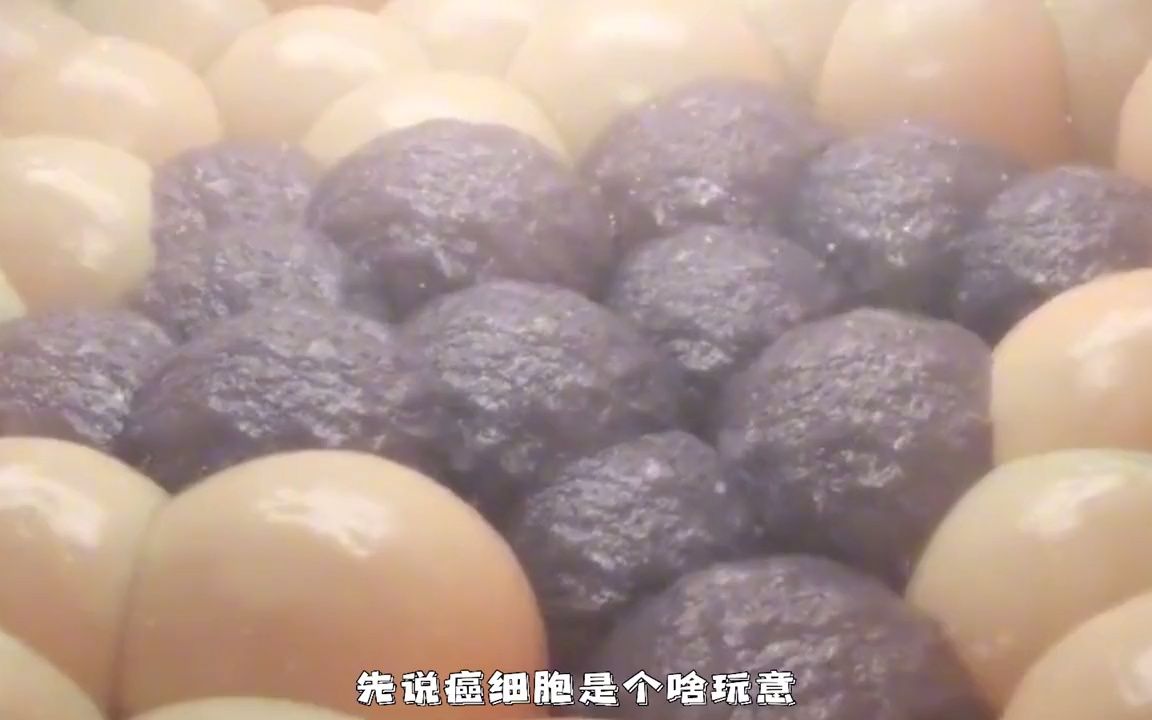 癌细胞可以无限增殖,如果一直繁殖下去,能长出一个新物种吗