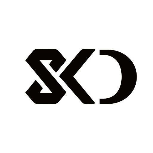 SKD王牌飞行员 