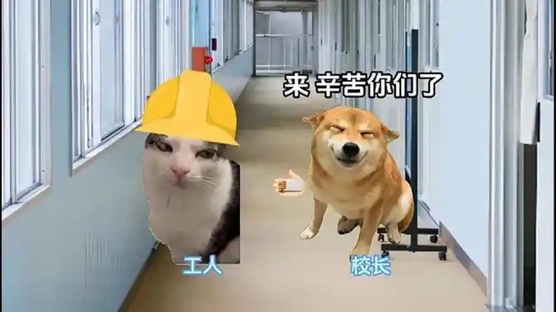 这一次 他终于救下了所有孩子…
