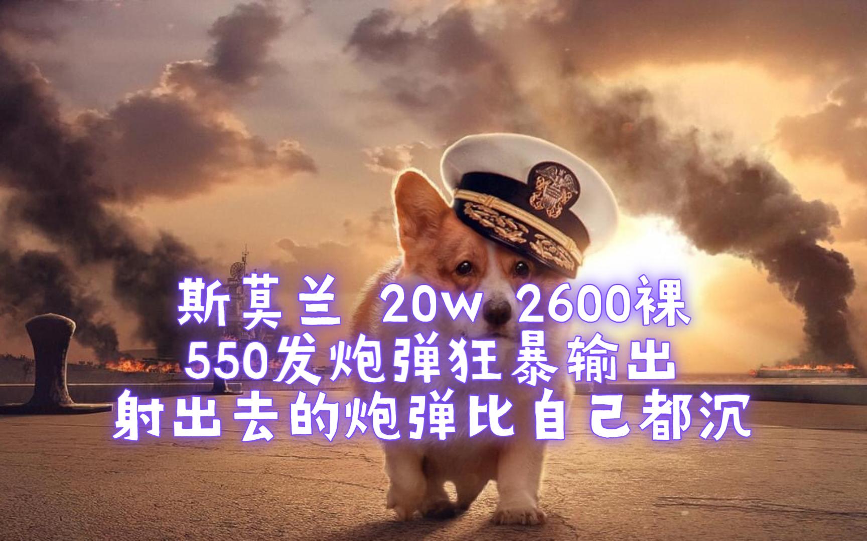【饭后甜点】斯莫兰 550发狂暴输出!20w 2600裸_战舰世界