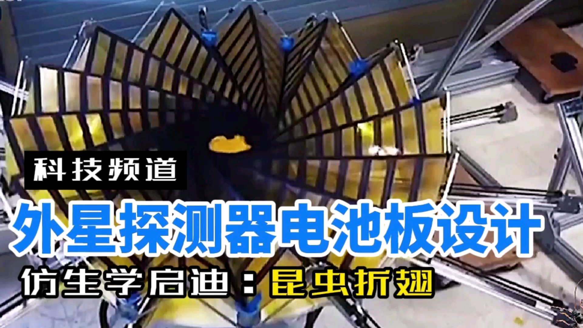 如此精巧的设计,居然是从昆虫中学来的,仿生学的应用