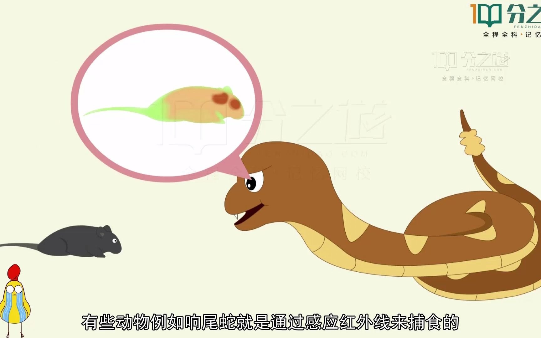 红外线可以用来做什么?_八年级物理