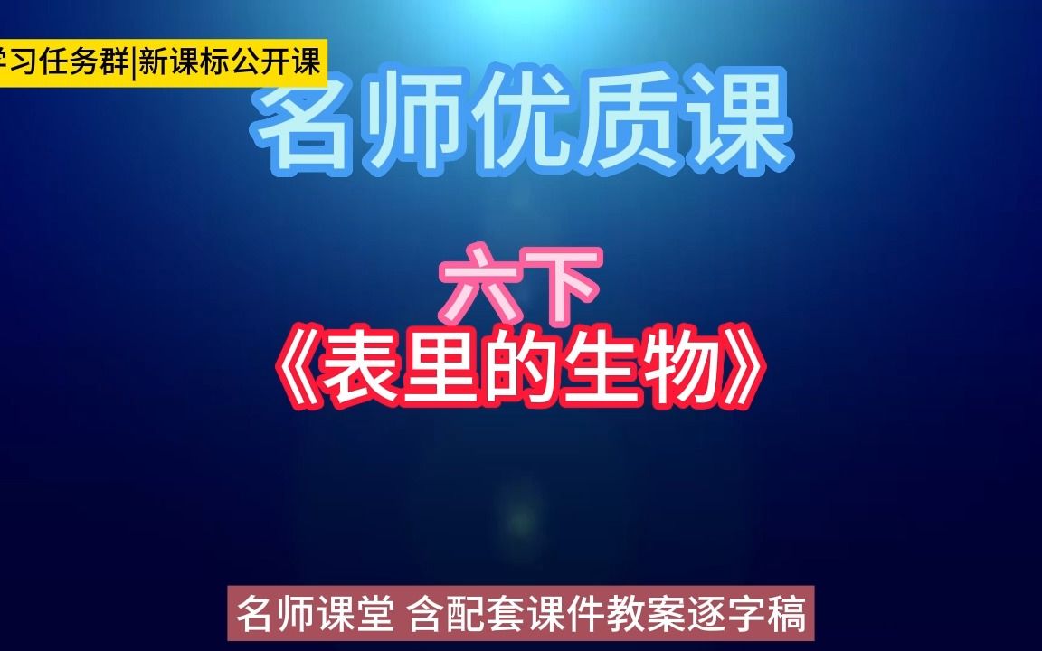 六下《表里的生物》gd小学语文新课标学习任务群|大单元教学设计|...
