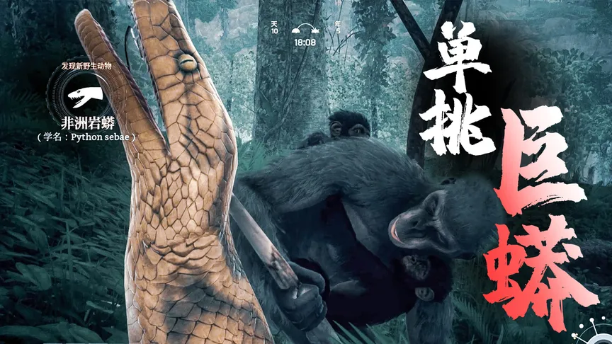 狒狒模拟器:杀死了一条大蟒蛇,却招来了老虎和鳄鱼,差点送命!