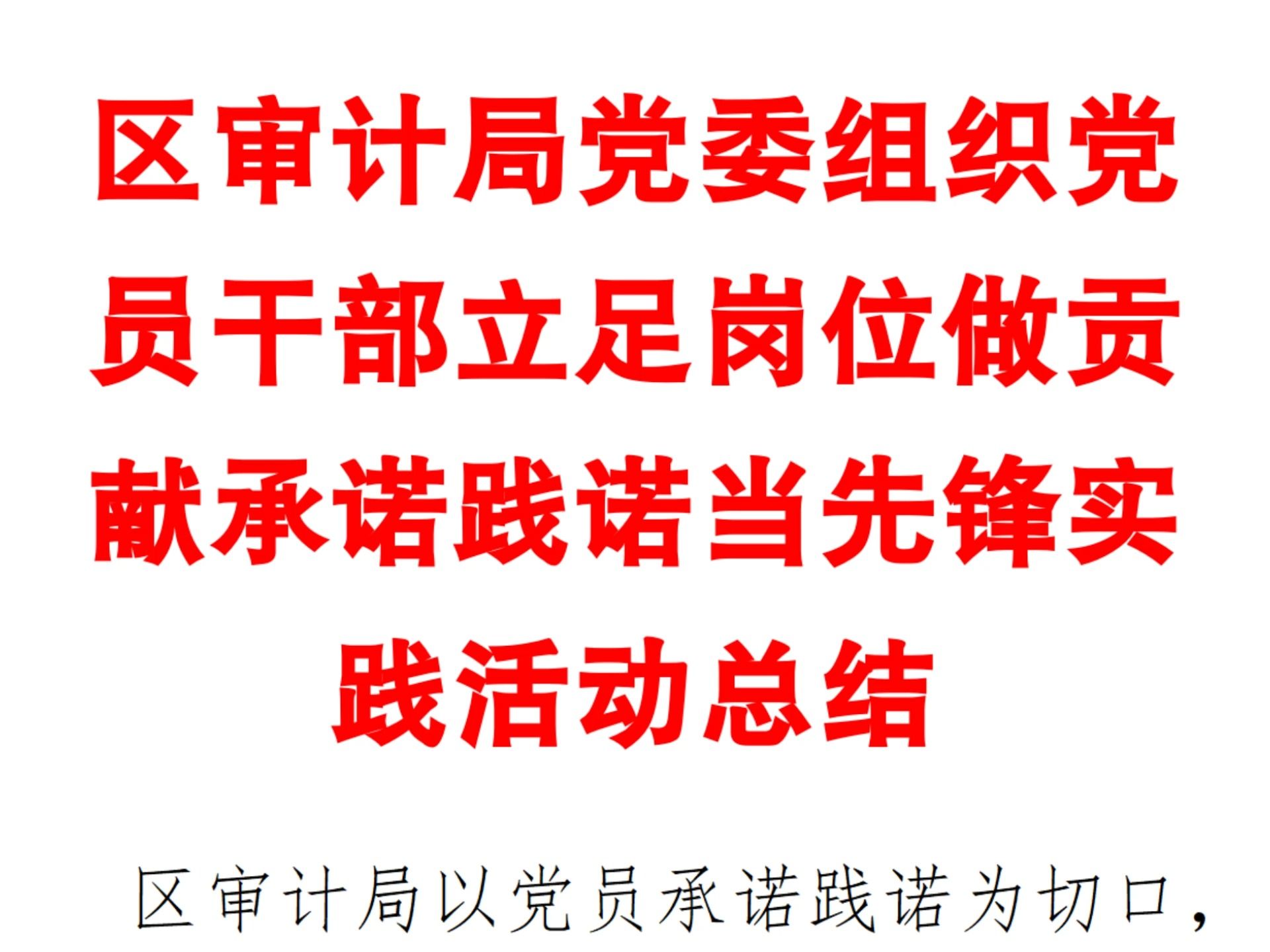 区审计局党委组织党员干部立足岗位做贡献承诺践诺当先锋实践活动总结