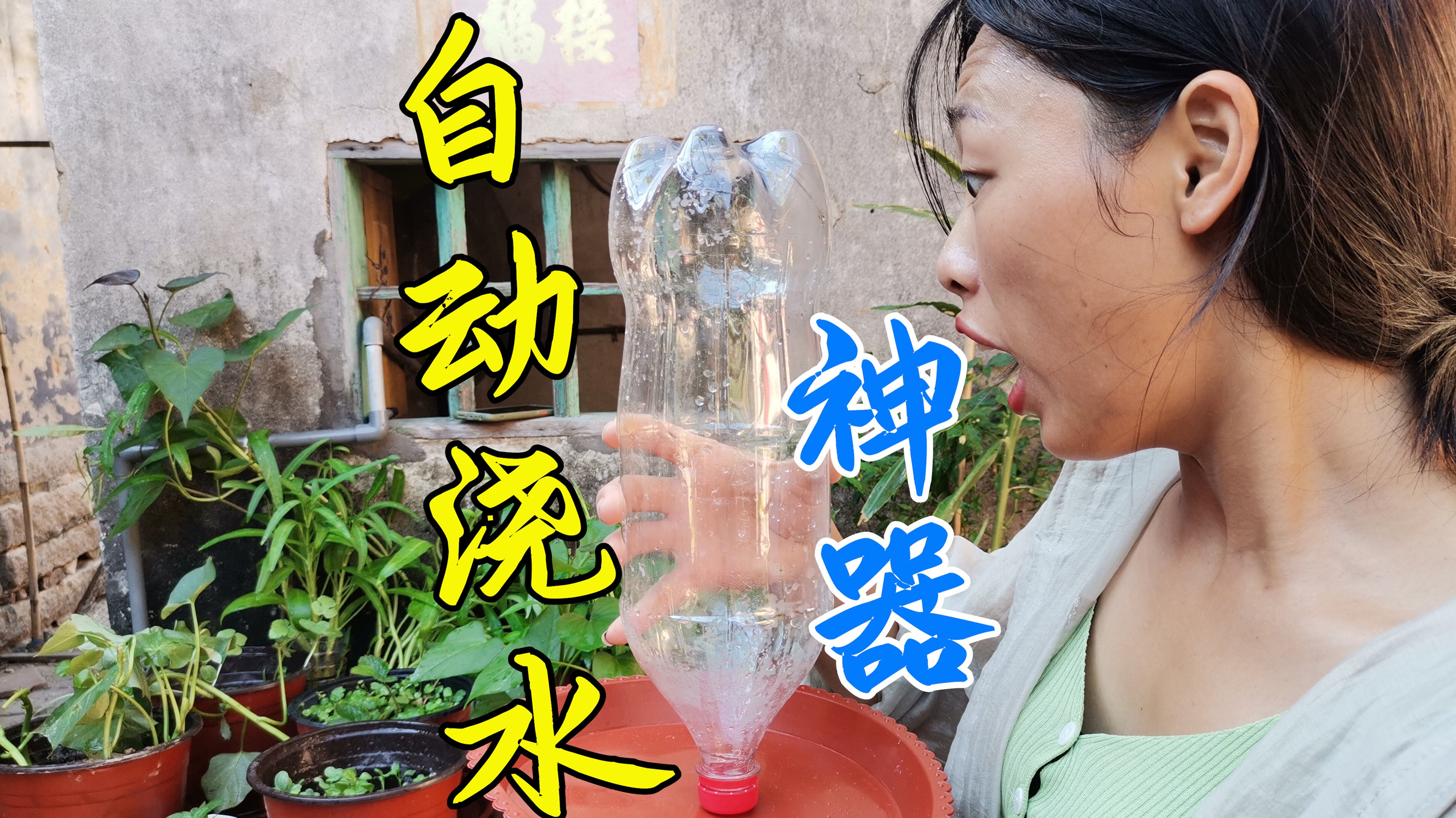 一个普通的塑料瓶改造自动浇水神器后,让人瞬间傻眼,20天免浇水