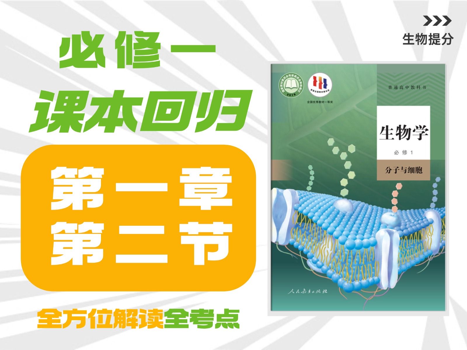 【高中生物课本回归】必修一 第1章第2节 细胞的多样性和统一性
