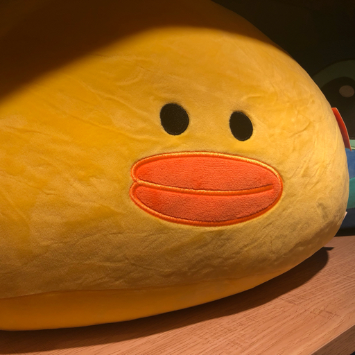 舒颖初a 