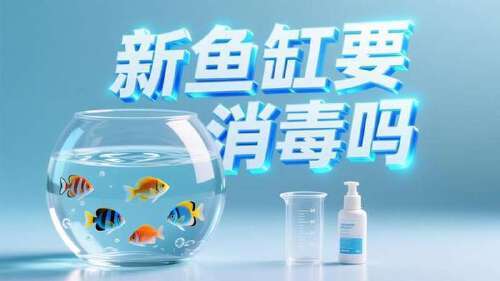 新鱼入缸前必做!消毒步骤做错小心整缸鱼团灭
