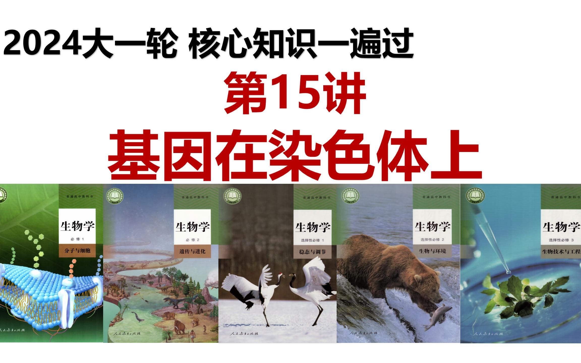 高中生物 2024高考一轮复习 第15讲 基因在染色体上、伴性遗传及人类...