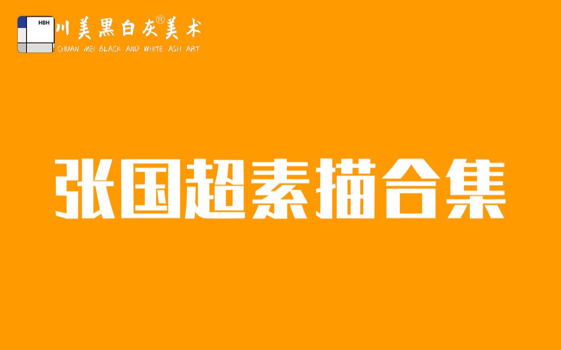 张国超素描视频大全