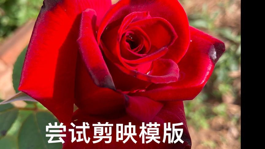 第一次使用剪映模版