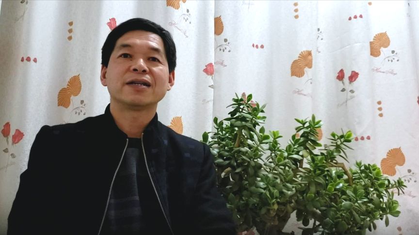 胃难受不舒服?这四种代茶饮家里常备,养护胃黏膜,胃一天天更好