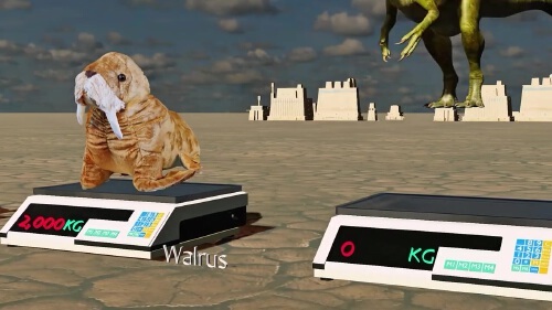 生物到底能有多重在这个史诗般的重量比较中,我们潜入了巨大的海怪...