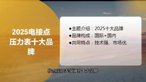 电接点压力表十大排名