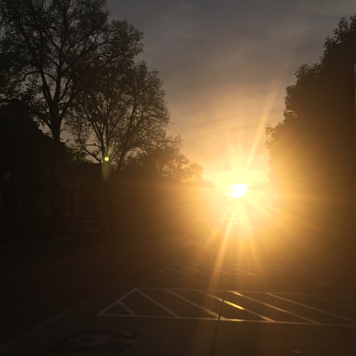 刘先生不会说话- 