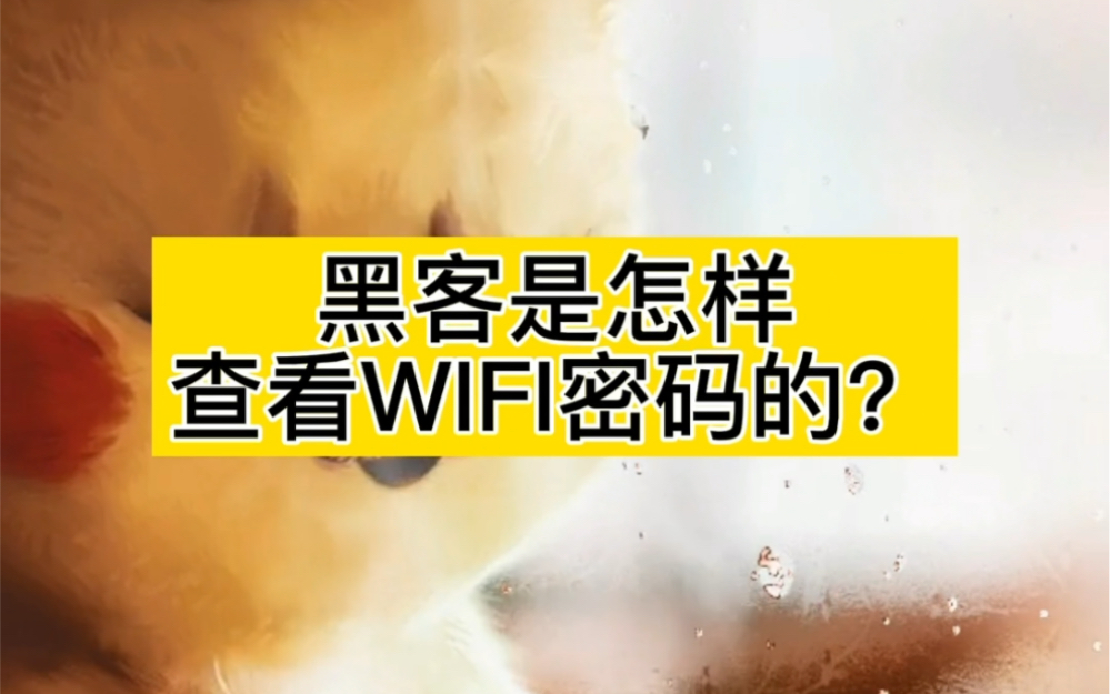 黑客是怎样查看WiFi密码的?一招教你解决!