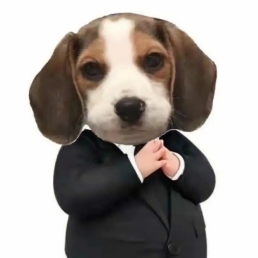 TeKaKoMoLo 