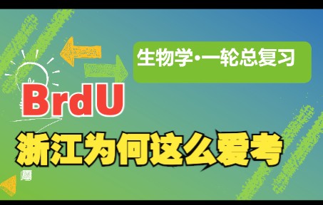 【高中生物一轮复习】6.3-2 DNA的复制 BrdU计算题新高考生物步步高...