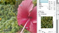 photoshop cs6 切片工具-11