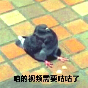 晓咕梦 