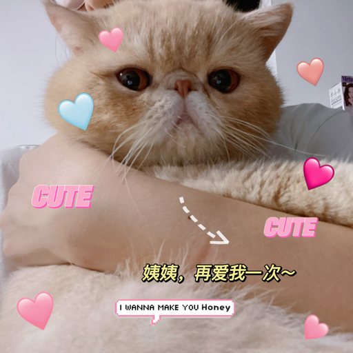 墩墩墩墩墩子宝 